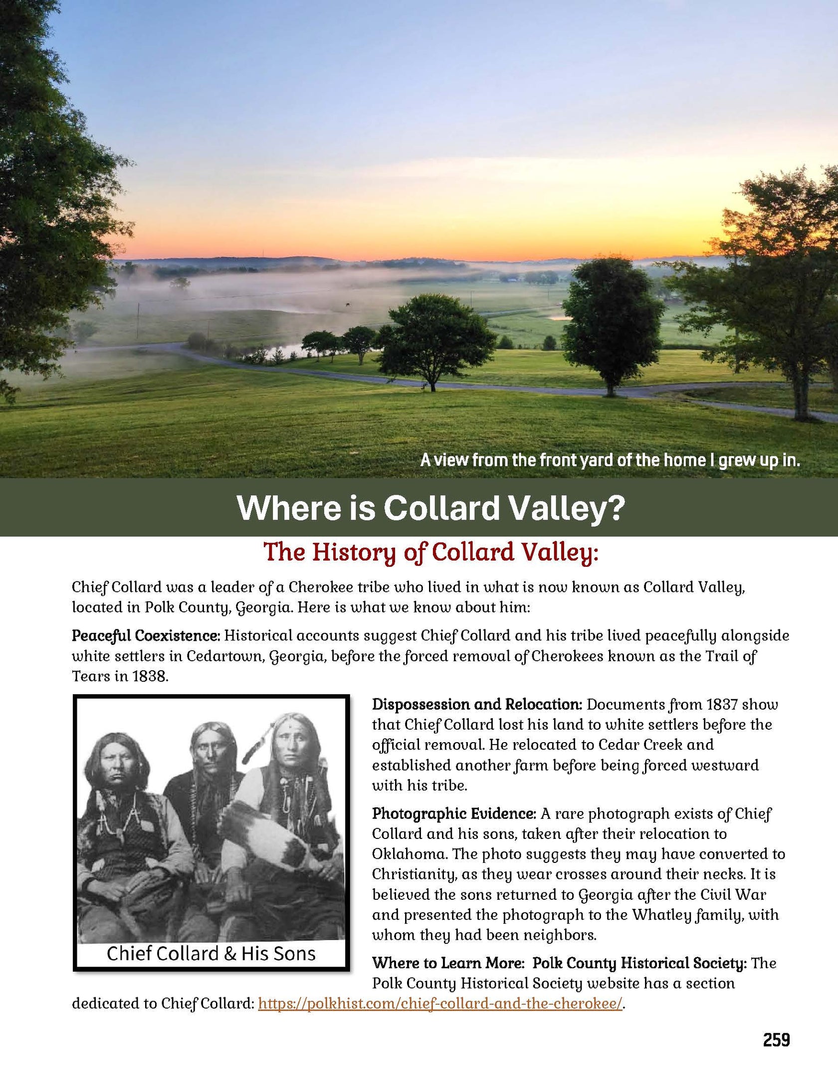 Master Cookbook - 625+ Recipes | Pre-Order Ships November 2025 ...